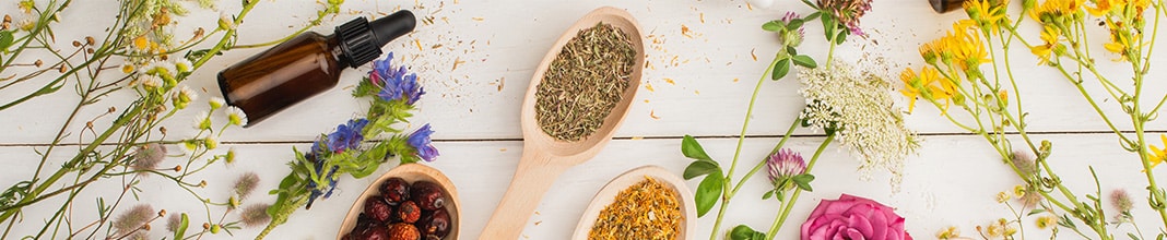 ¿Qué hace un naturópata? Aprende sus funciones | Deusto Salud