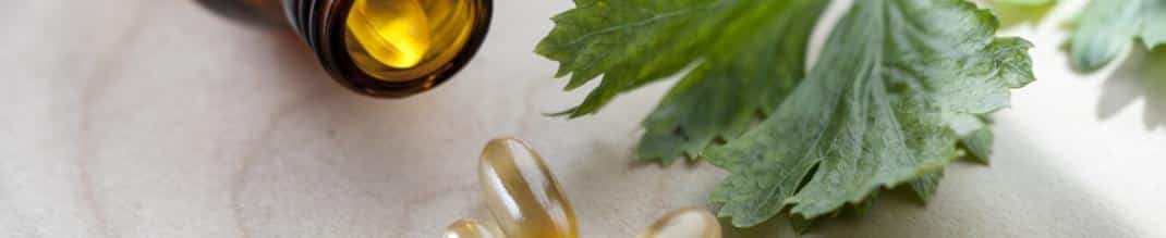 Cómo y cuándo tomar complementos alimenticios - Deusto Salud